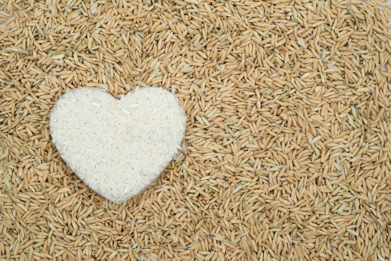 Heart shape rice stock photo. Image of reaping, rice - 35940084
