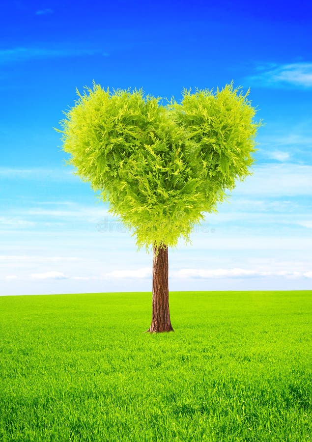 Heart shape trees stock photo. Image of imagination, antiquities - 78908290
