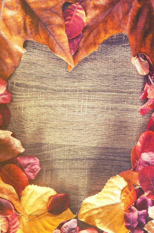 Heart Shaped Autumn Leaves Background Stock Image - Image of brown ...