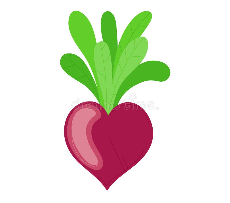 Heart-shaped Beetroot with Green Leaves. Love for Vegetables and ...