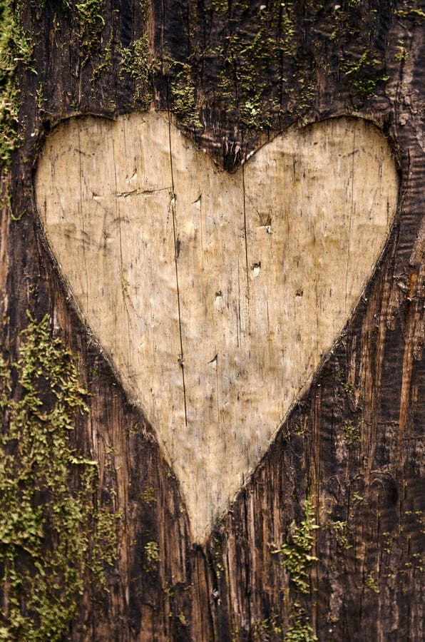 Love Tree Carving Stock Photos - Download 504 Royalty Free Photos
