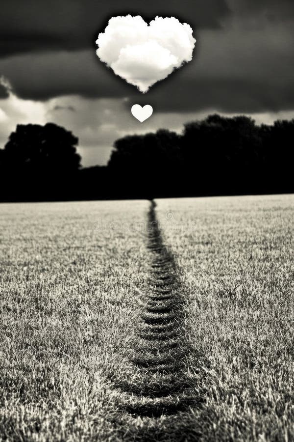 Heart-shaped Cloud Over Field Path in Black and White Stock Image ...
