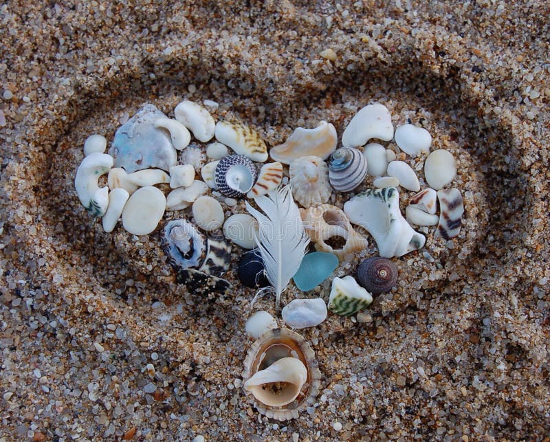 Heart Shaped Collection of Shells. Stock Photo - Image of collection ...
