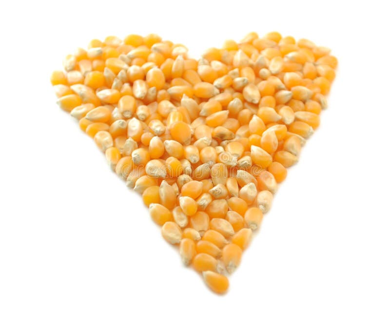 Heart of corn cobs stock image. Image of organic, healthy - 14036999