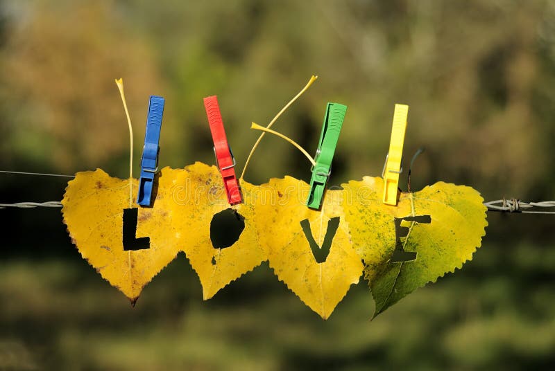 Heart-shaped Fall Leaves with LOVE Word Stock Photo - Image of color ...