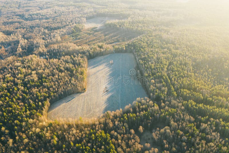 Heart Shaped Field in Autumn from Drone Stock Image - Image of ...