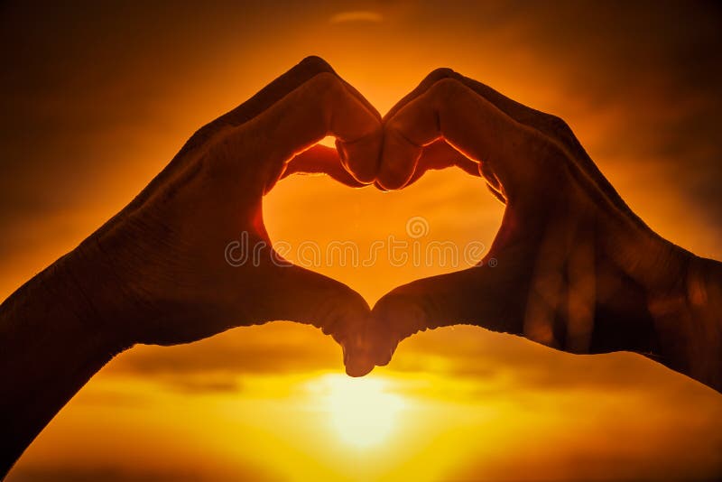 Heart Shaped Potato stock photo. Image of food, vegetarian - 147104764