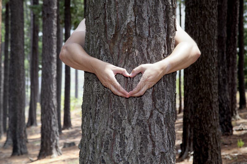 Heart shaped hands stock photo. Image of finger, celebration - 28398274