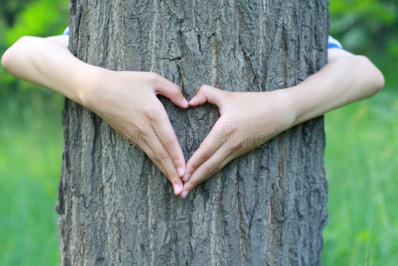 Heart shaped hands stock photo. Image of compassion, hands - 34594394