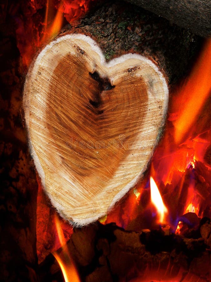 Heart-shaped log stock image. Image of fire, random, burn - 15398443