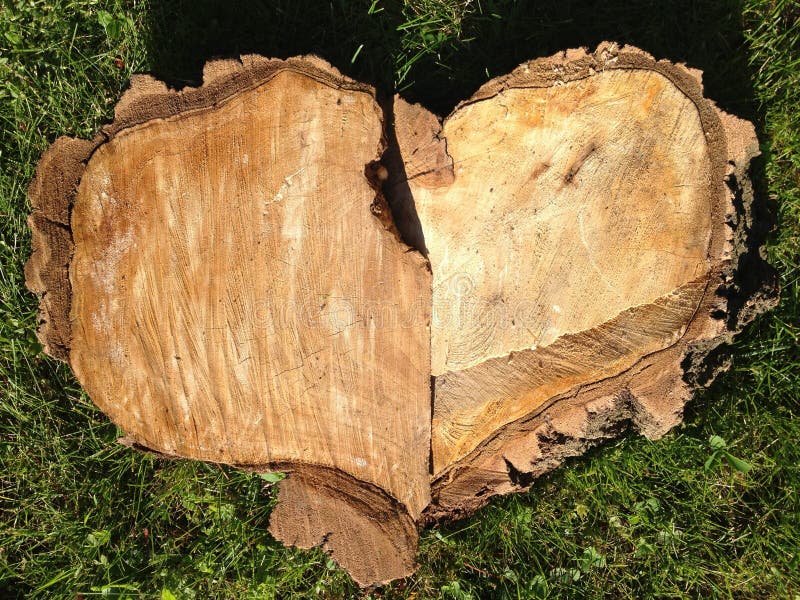 Heart Shaped Log Stock Photos - Free & Royalty-Free Stock Photos from ...