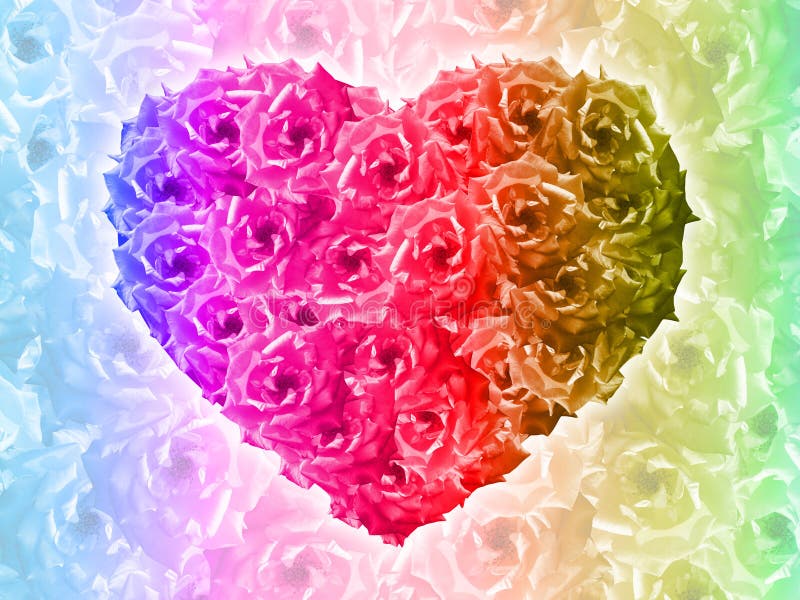 Heart Shaped Multi Colored Rose on Multi Colored Rose Background ...