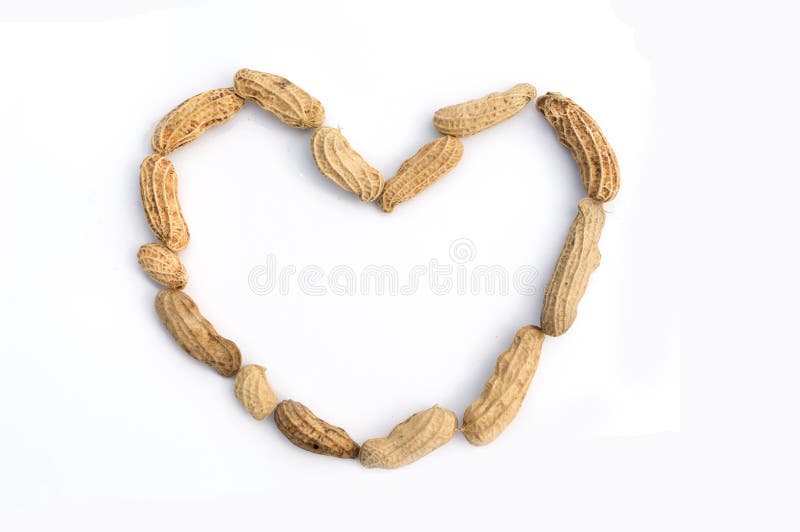 Heart-shaped nut stock image. Image of heart, natural - 65160987