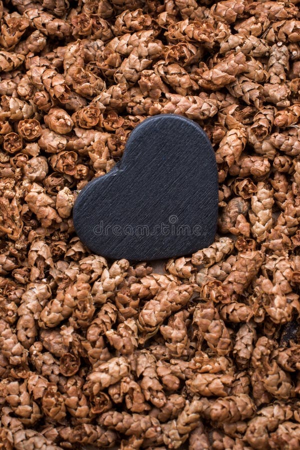 Heart Shaped Objects on Leaves Stock Photo - Image of background ...