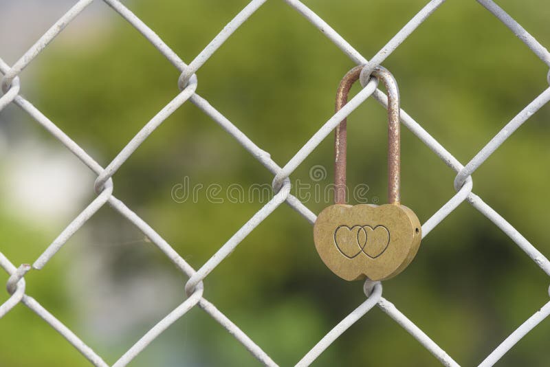 Heart shaped padlock stock photo. Image of love, fence - 75782846