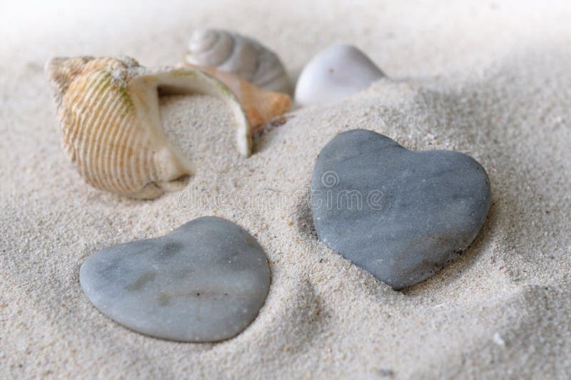 Heart Shape Pearl Shells of a Nautilus. Stock Image - Image of mother ...