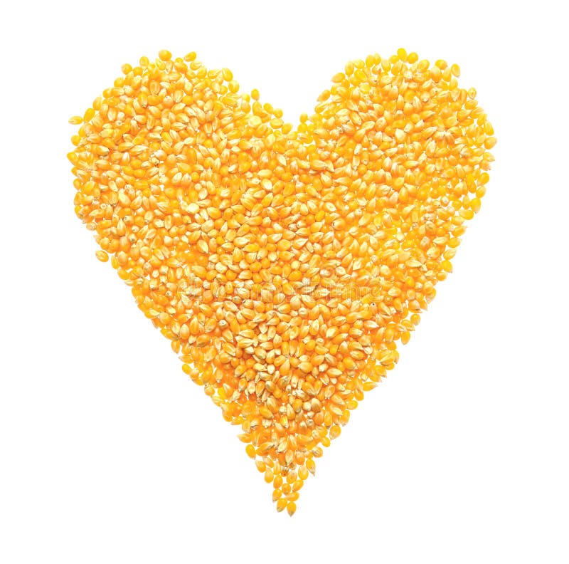 Pile of Corn Seeds Isolated on White Stock Image - Image of crop, maize ...