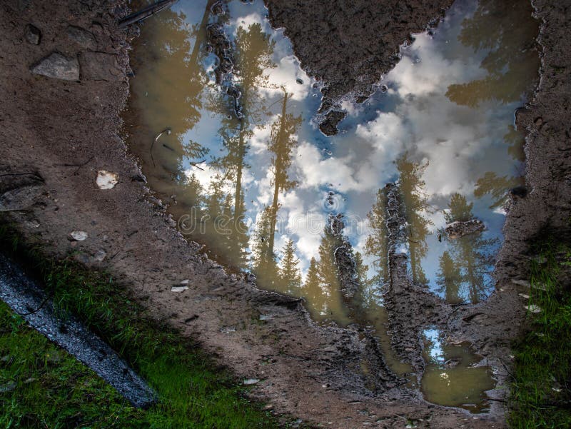 Heart Shaped Puddle Reflecting the Sky Stock Photo - Image of puddle ...