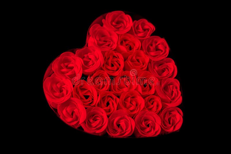 Heart-shaped Red Roses Isolated Stock Image - Image of rose, gift: 38698093