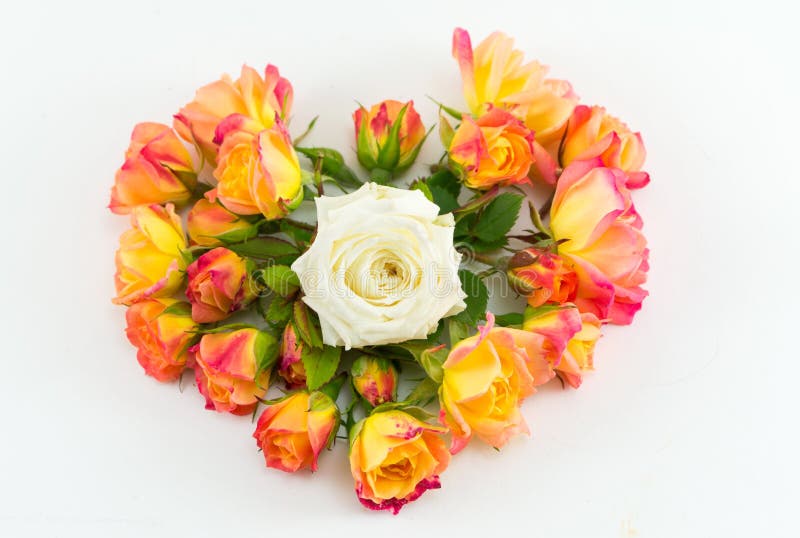 Heart shaped roses bouquet stock photo. Image of bunch - 82247500