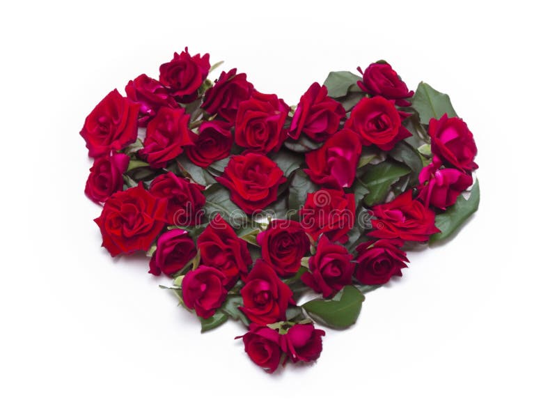 Heart Shaped Roses on White Stock Illustration - Illustration of pink ...
