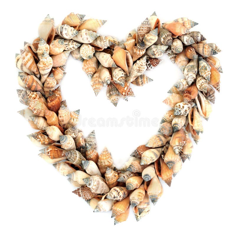 Heart Shaped Seashell Wreath Stock Image - Image of elegant, shells ...