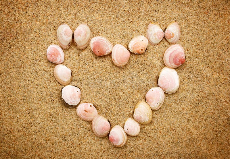 Heart Shaped Seashells On The Sand Stock Image - Image of sand, frame ...