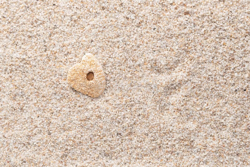 Heart Shaped Shell or Rock in the Sand. Stock Photo - Image of sand ...
