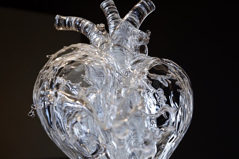 Heart-shaped Splash of Water Creates Beautiful and Dynamic Visual ...