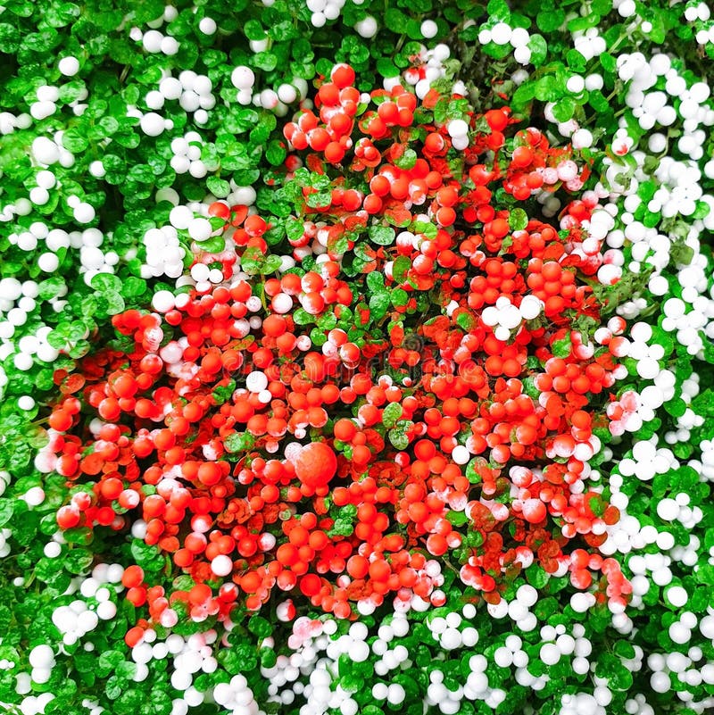 Heart Shaped Spring Flowers Bouquet Stock Image - Image of symbol ...