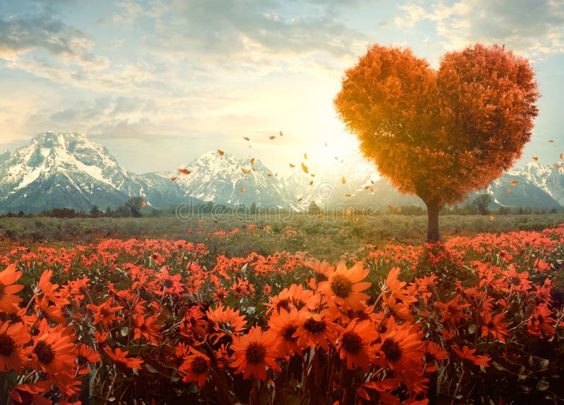 Tree heart on hill stock photo. Image of field, heaven - 29523548