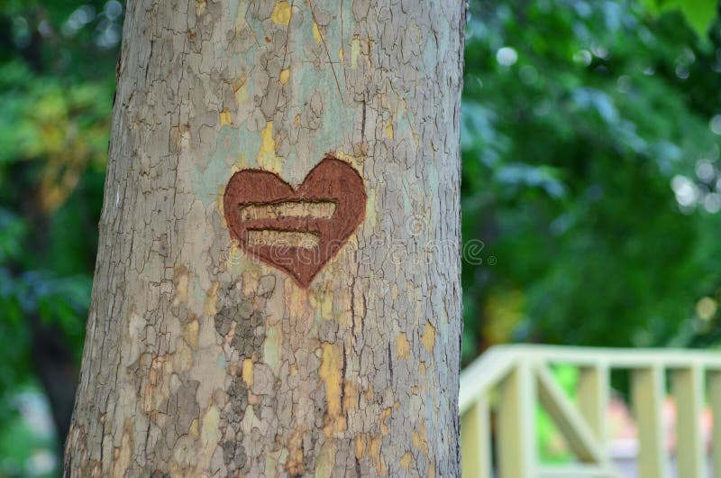 Heart shaped tree stock photo. Image of heart, eternity - 75725830