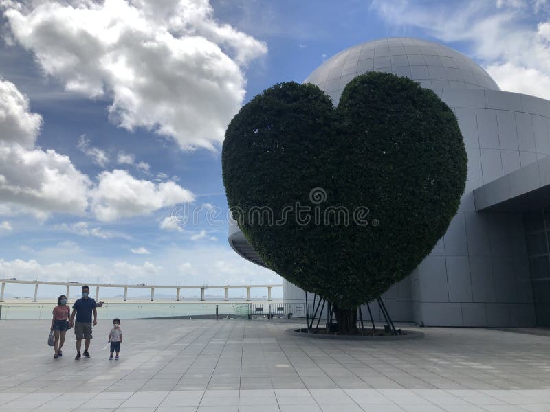 Heart Shaped Tree Taken Next To Macau Science Center Editorial Stock ...