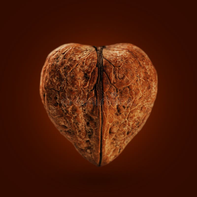 Heart Shaped Walnut with Clipping Path Stock Photo - Image of open ...