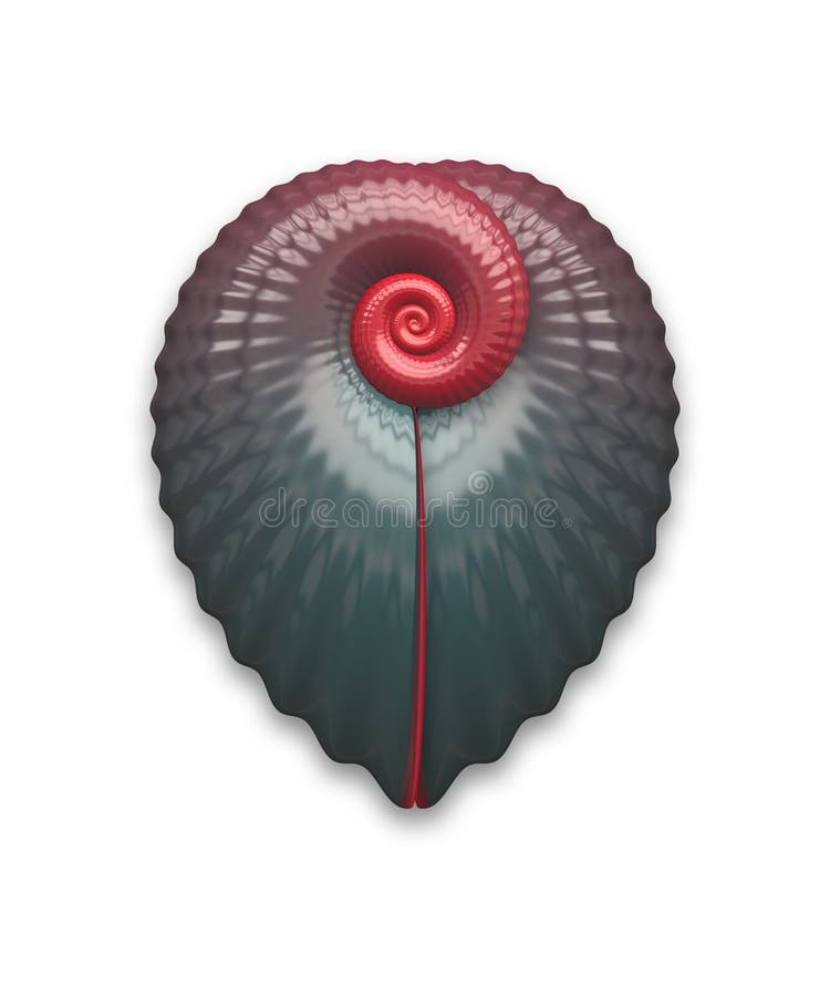 Heart shell stock illustration. Illustration of dating - 11953938