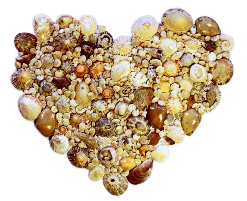 Sea Shells Arranged Heart Sand Stock Photos - Free & Royalty-Free Stock ...