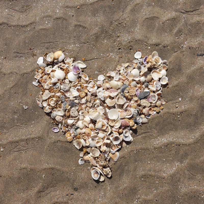 Heart of shells stock image. Image of shells, sand, shell - 64537859