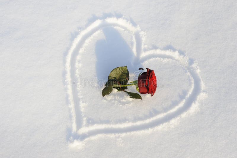 Heart in snow stock photo. Image of fresh, heart, happiness - 15609038