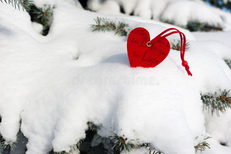 Heart at snow on tree stock image. Image of park, february - 28900049