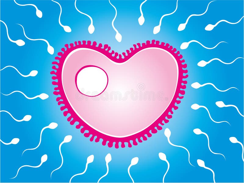 Sperm Cell Pink And Blue stock illustration. Illustration of ...