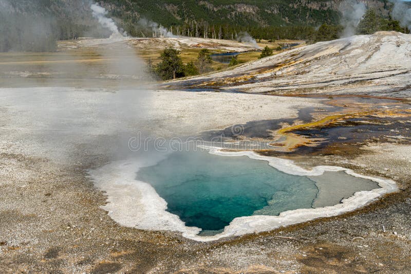 Red Heart in the Spring Flowers Stock Photo - Image of maytradition ...