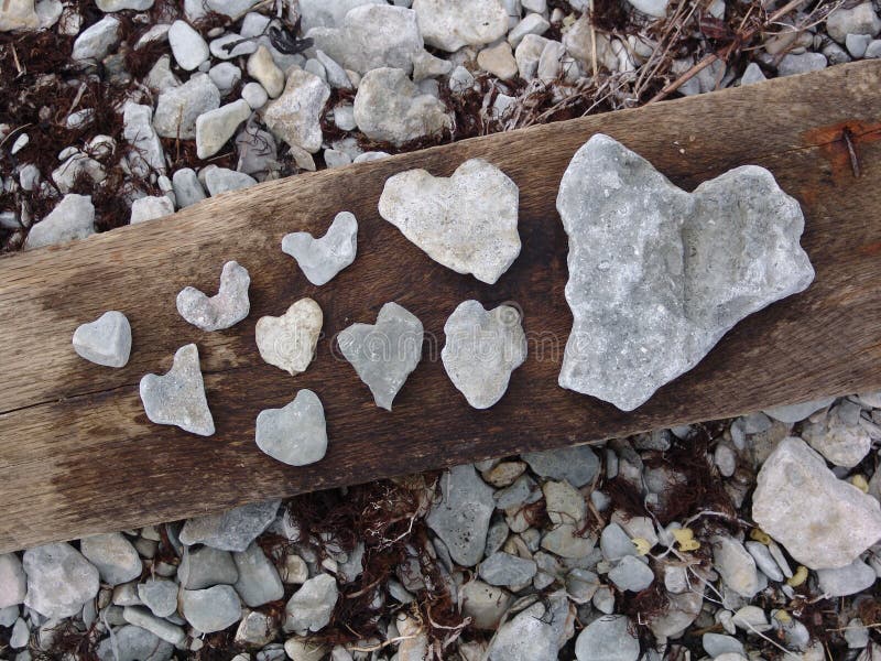 Heart of wood stock photo. Image of heart, stack, firewood - 5935200