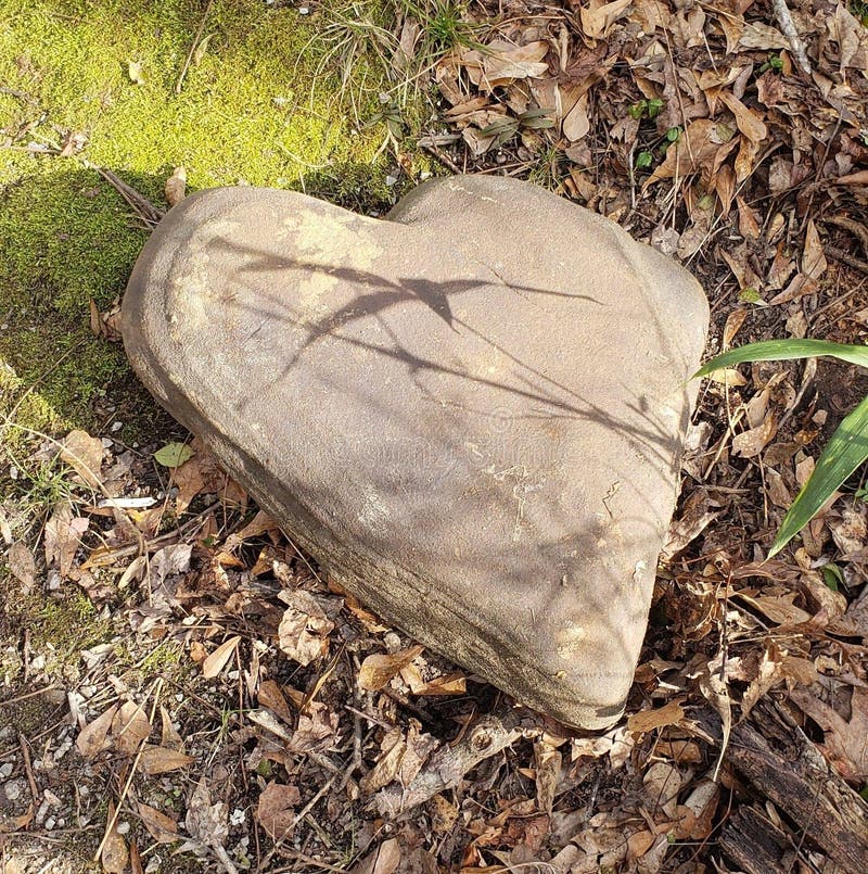 Heart of stone stock photo. Image of hear, unique, heart - 164683354