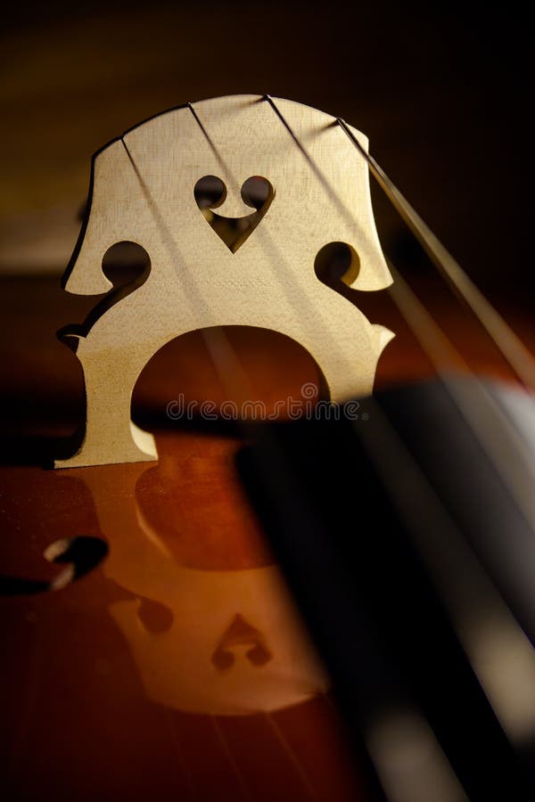 Heart Strings stock photo. Image of shape, mirrored, stringed - 28965674