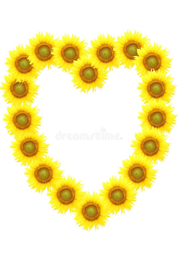 Heart Sunflower border stock photo. Image of blooms, love - 17712016