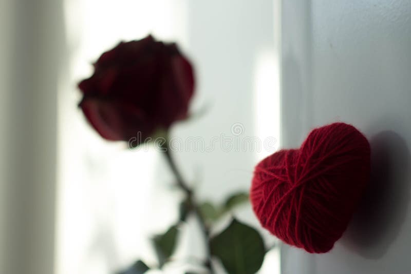 Heart of Threads Yarn on a Background of Red Roses Stock Image - Image ...