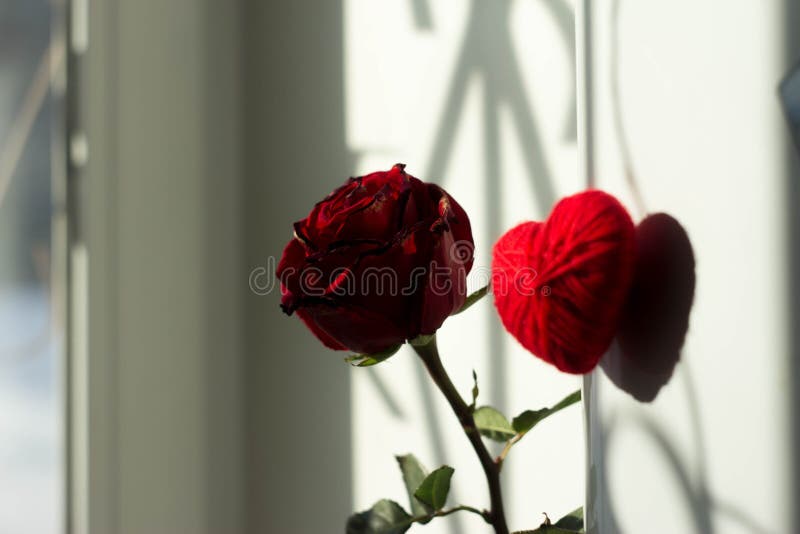 Heart of Threads Yarn on a Background of Red Roses Stock Image - Image ...