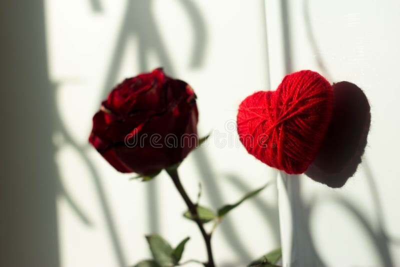 Heart of Threads Yarn on a Background of Red Roses Stock Image - Image ...