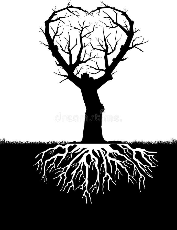 Tree_BW stock vector. Illustration of arbor, life, bark - 1164580