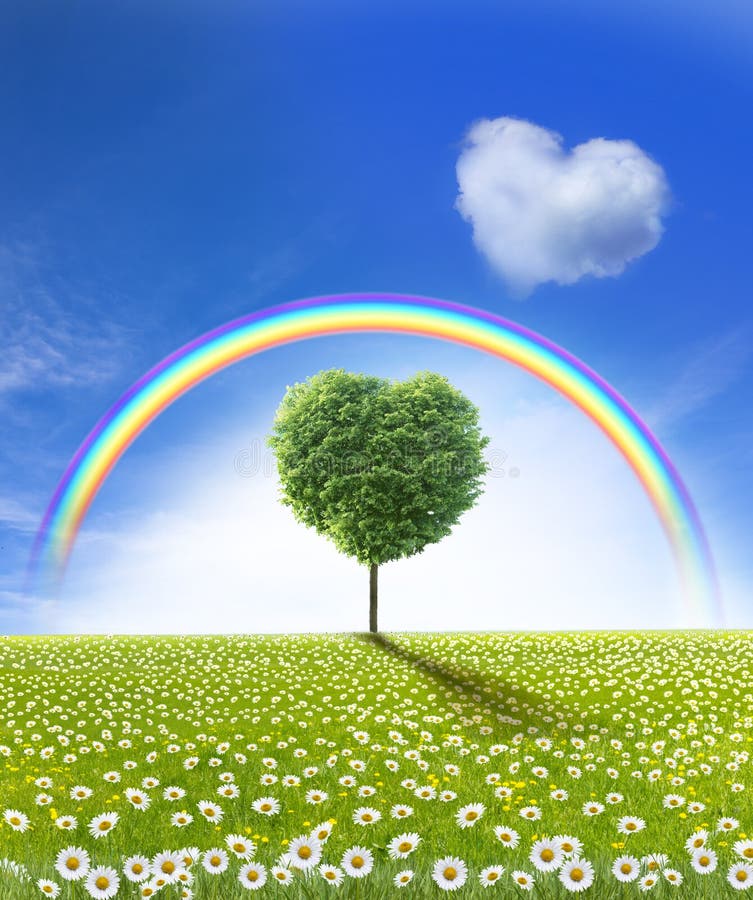 Tree in Flower Meadow with Rainbow Stock Image - Image of heart ...